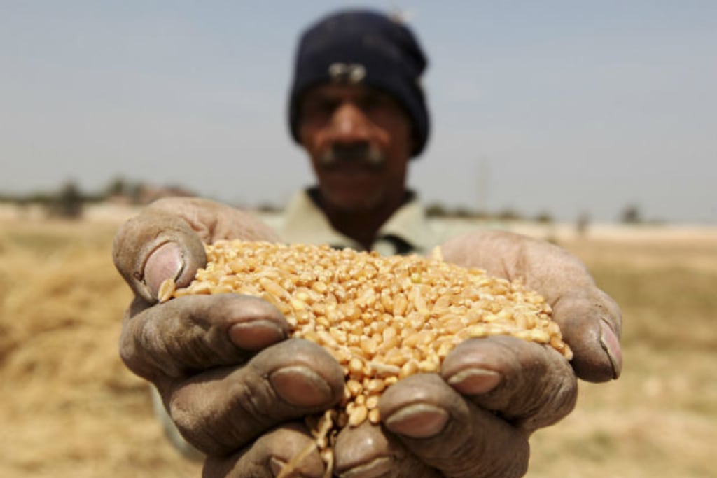 New From CFR: Isobel Coleman on Aid to Egypt | Council on Foreign Relations